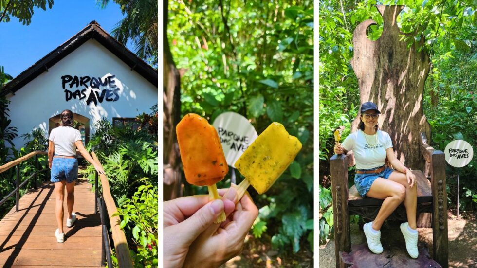 Parque das Aves: Como Funciona e Vale a Pena?